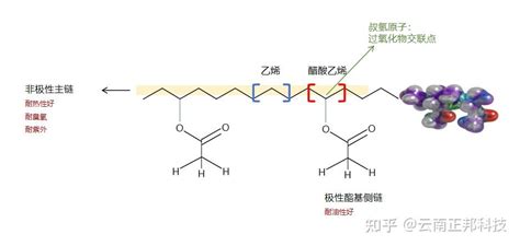 形似神异的乙烯 醋酸乙烯酯共聚物（eva和evm） 知乎