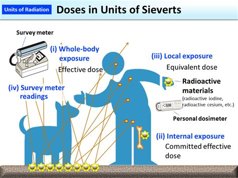 Doses In Units Of Sieverts Moe
