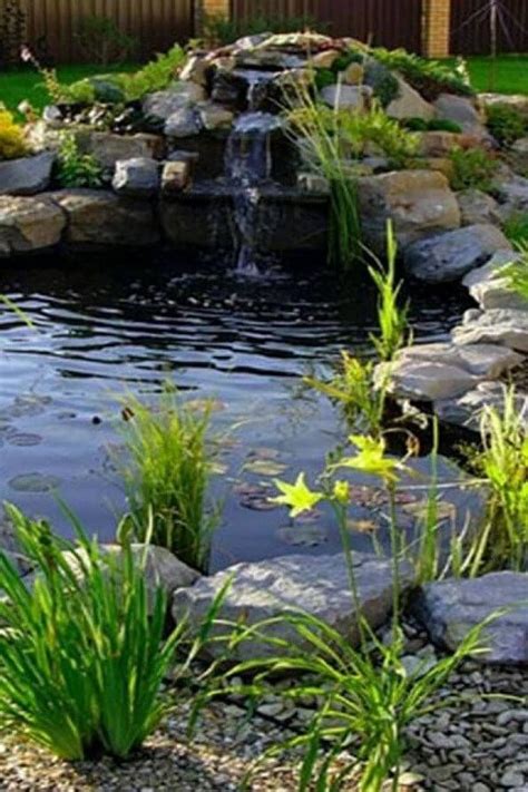 Garden Pond Ideas Pond Landscape Ponds Design Ponds Plants Gardening