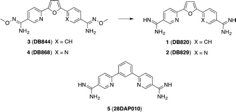 Diamidine Compounds Being Effective In Cns Mouse Model Download