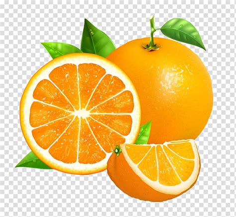 Orange Fruit Clipart