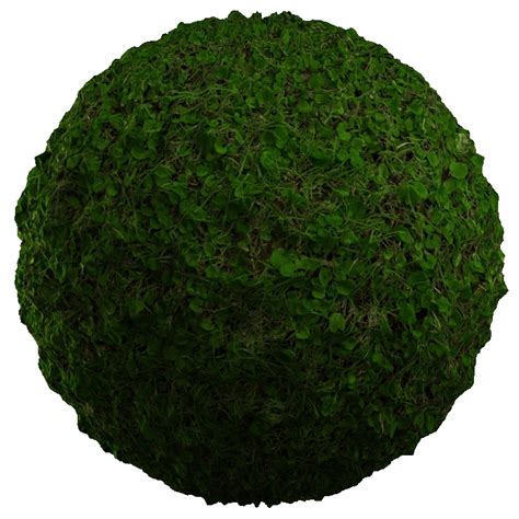 Wild Grass Pbr Texture A23d