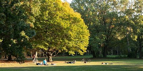 Berlin For Beginners Berlinde