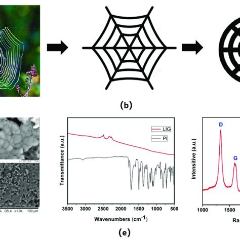 A Natural Spider Web B Spider Web Planar Structure C Improved Download Scientific