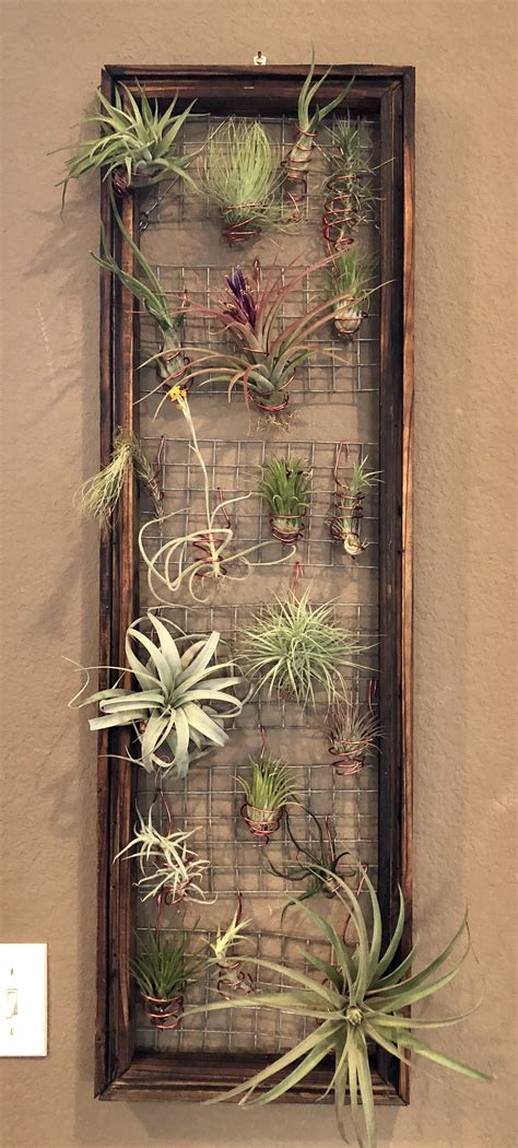 54 Plant Display Ideas In 2025 Plant Display Ideas Plant Decor Air
