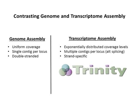 Rna Sequencing Transcriptome And Expression Quantification Ppt Download