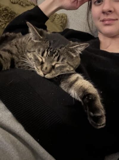 Olivia Cat Lover In Brooklyn New York