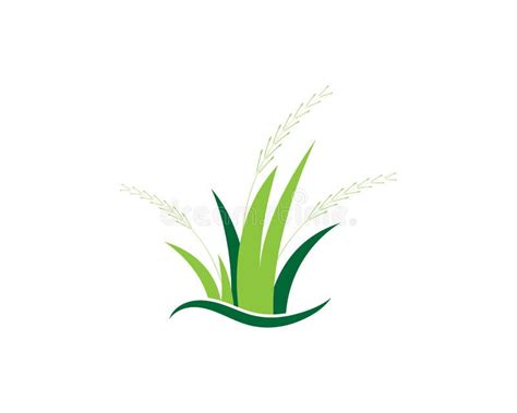 Grass Logo Vector Stock Illustration Illustration Of Creative 174614914