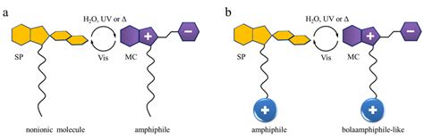 Schematic Representation Of The Surfactants And Their Mutual Download Scientific Diagram