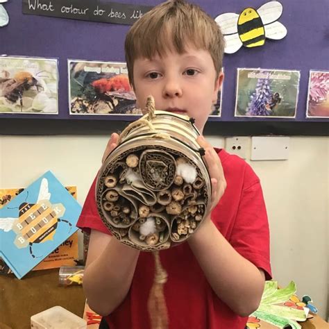 Prees Ce Primary School And Nursery Bee Homes Impress