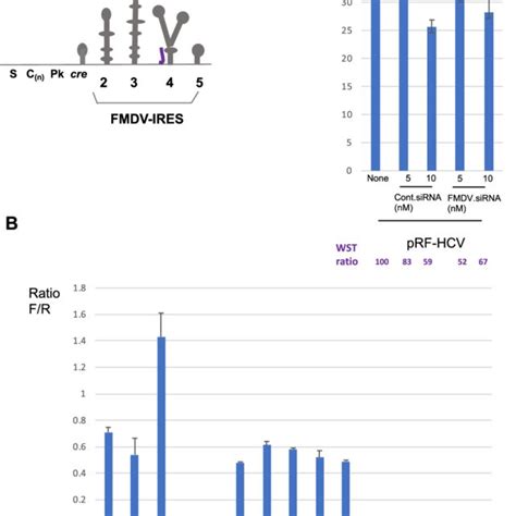Alignment Of Fmdv Ires Sequences From Seven Fmdv Serotypes Alignment