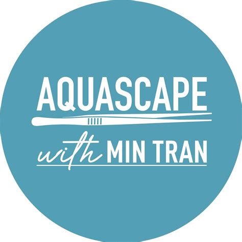 Min Tran Youtube
