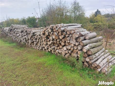 Nyárfa Tűzifa Eladó Jászszentandrás Tűzifa Jófogás