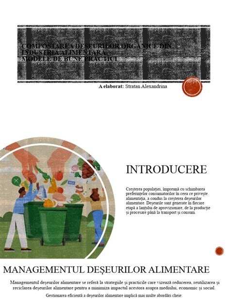 Stratan Alexandrina Vsdia Pdf