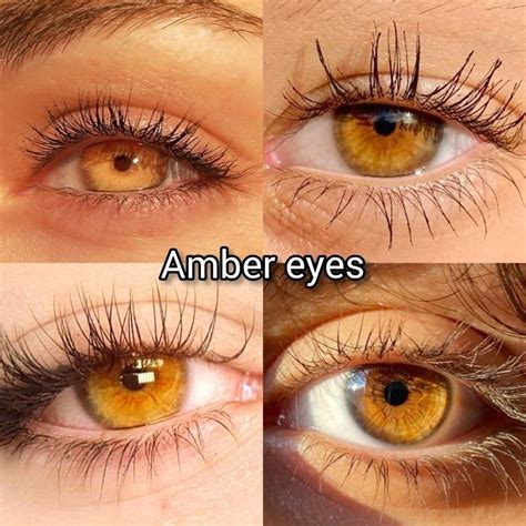 Pin By Lágrimas De Un Ángel On Belleza Extraordinaria Amber Eyes