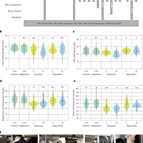 Overview Of The Modelling Results A Model Structure Schema Model A Download Scientific