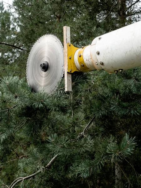 Sierra Circular En Una Pluma Telescópica Para Cortar Ramas De árboles