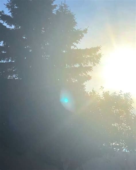 James Burkell Posted On Linkedin