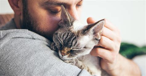 Why Do Cats Purr