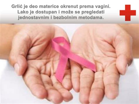 Ppt Rak Grlića Materice Powerpoint Presentation Free Download Id2036979