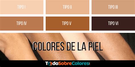 Clasificación De Los Colores De La Piel Según La Escala Fitzpatrick