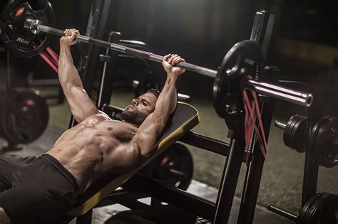 La Guía Definitiva Para Principiantes En Entrenamientos De Fuerza