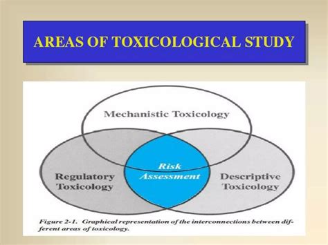 Basic Concepts Of Toxicologypdf