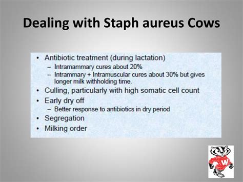 Ppt Mastitis Powerpoint Presentation Free Download Id2036018