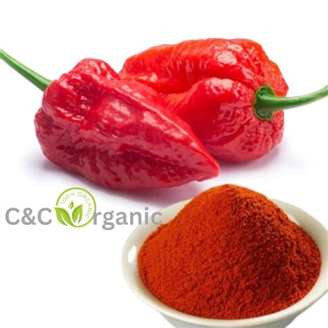 Ghost Pepper Powder 1kg Borong Wholesales 批发 Ghost Chili 魔鬼辣椒 Shopee