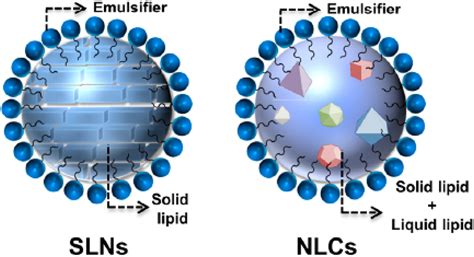 Novel Drug Delivery Systems For Loading Of Natural Plant Extracts And Ijn
