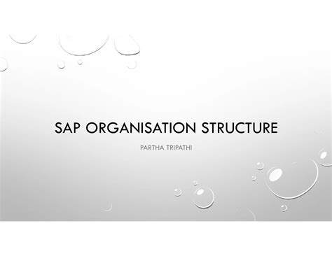 Sap Organisation Structure Business View Pdf