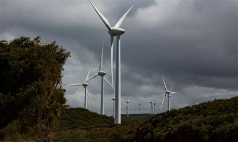 Energy Leaders Hold Long Term Optimism Despite Challenges Wealth