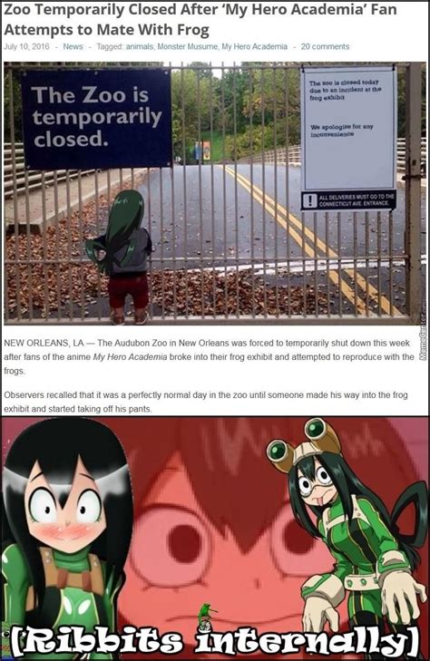 Frog Is For Hug Not Fug My Hero Academia My Hero Academia Memes My