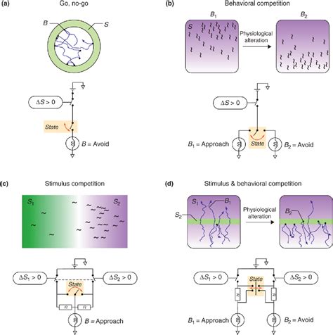 Figure 2 From Neuronal Microcircuits For Decision Making In C Elegans Semantic Scholar