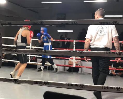 Sex Diplomboxare Dif Boxning