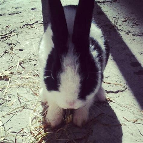 Nancy Casella Youtube