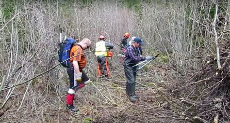 What Goes Into Building And Maintaining A Hiking Trail Vancouver Trails