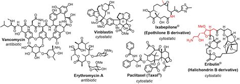 Natural Products And Total Synthesis