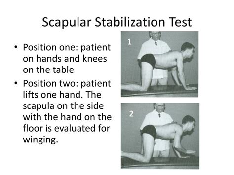 Ppt Muscle Imbalance Evaluation And Treatment Of The Neck Upper Back