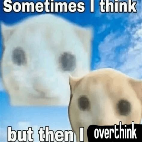 Page 3 Funniest Roblox Decal And Image Ids Massive List Roblox Den