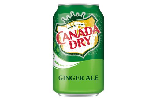 10 Best Ginger Ale Brands Ranked Parade