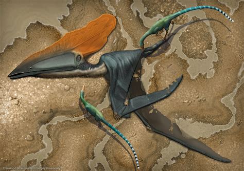 Výnimočne Zachované Pterosaury Časopis Quark