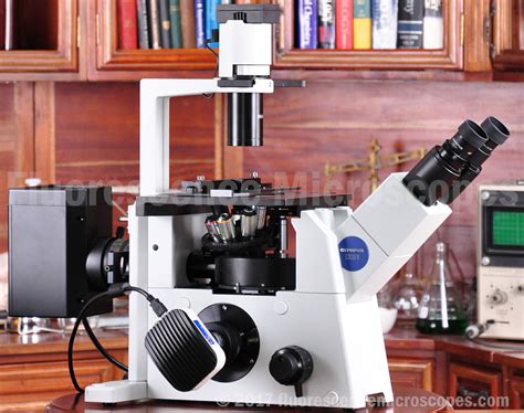 Fluorescence Microscopes Olympus Ix51 Inverted Fluorescence And Phase Contrast Microscope