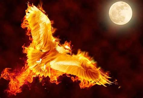 Gambar Efek Api 47 Koleksi Gambar