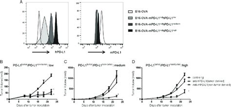 Expression Level Determines T Cell Inhibition Ability Of Different