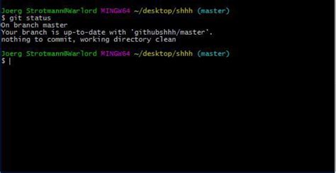 Github Guide For Newbies By Plesk