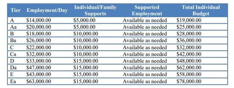 Nj Ddd Supports Program Manual Clearance Deals Brunofugaadvbr