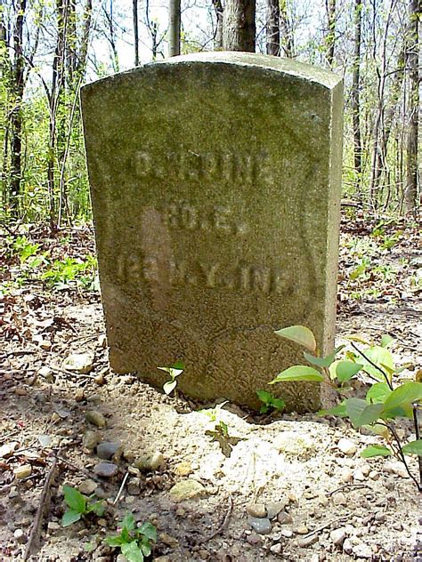 Daniel W Pine Project