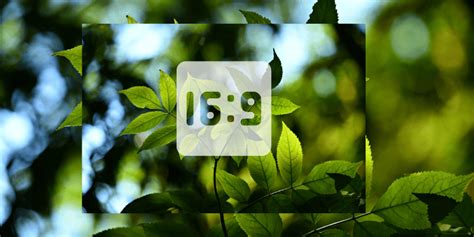 How To Change Aspect Ratio Of An Image In Photoshop