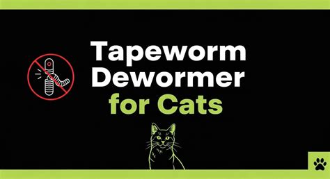 1 Tapeworm Dewormer Cat Fast Acting And Vet Recommended